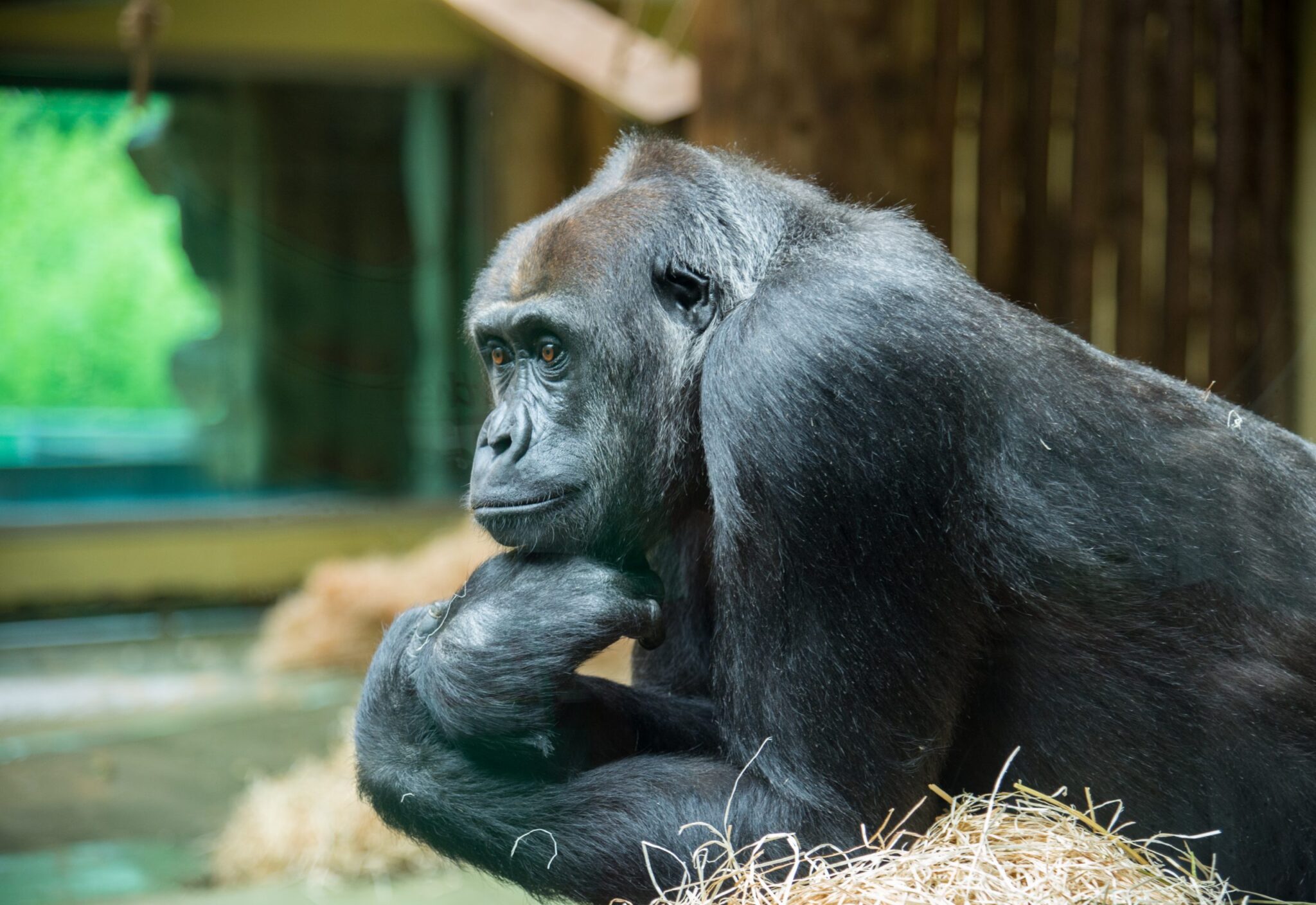 VR Ticket für Veranstalter - VR ticketing